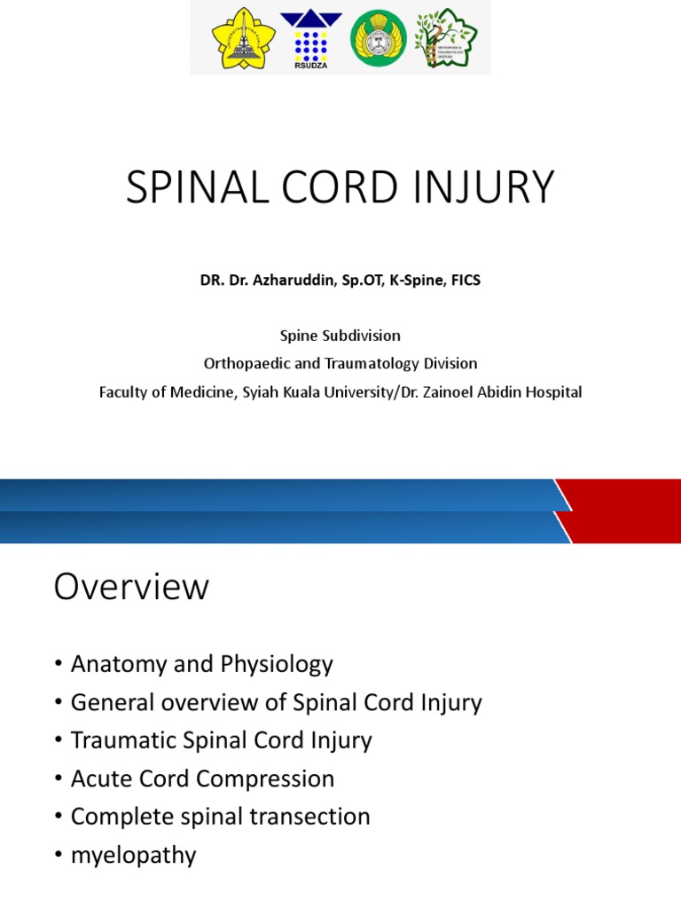 Understanding Spinal Cord Injuries: A Comprehensive Review of the ...