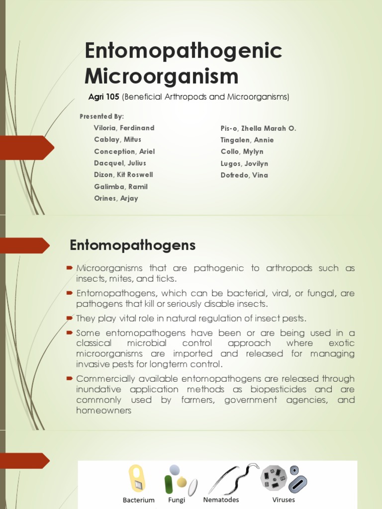 Entomopathogenic Microorganism 1 | PDF | Insects | Virus