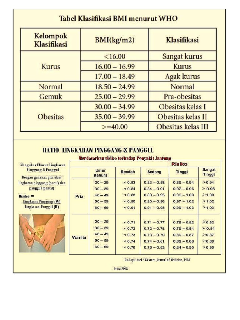 Nilai Normal Imt Dan Lingkar Perut | PDF