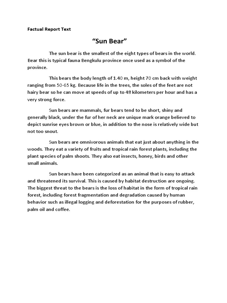 "Sun Bear": Factual Report Text | PDF