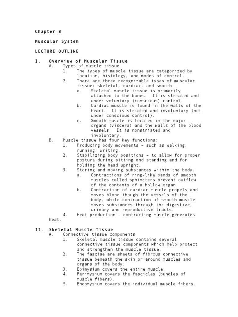 Muscular System Chapter Lecture Outline | PDF | Muscle Contraction ...