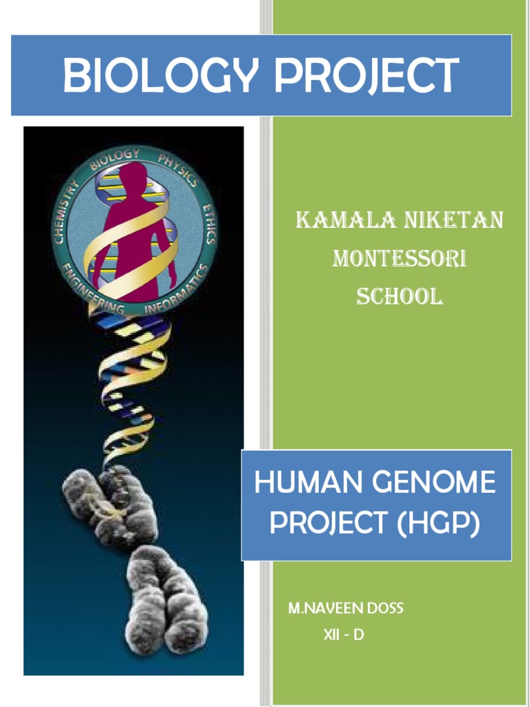 Human Genome Project Overview | PDF | Human Genome | Dna