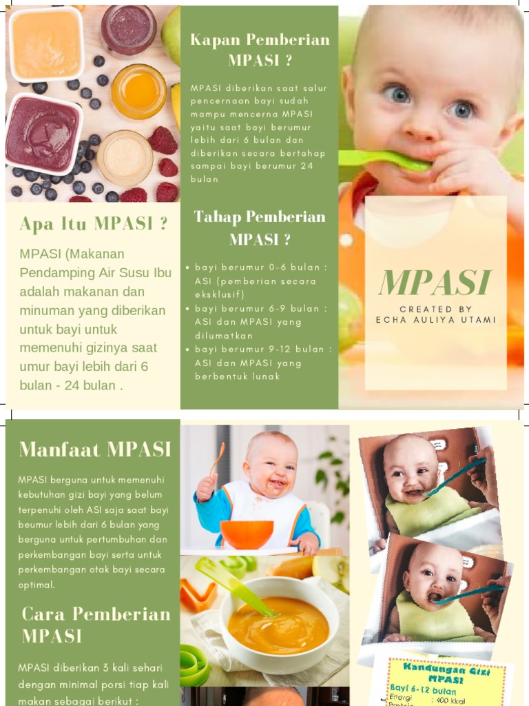 Leaflet MPASI | PDF