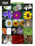 Vortex Mathematics | PDF | Soul | Universe