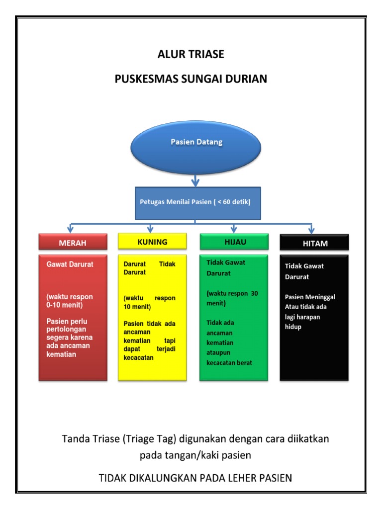 Alur Triase | PDF