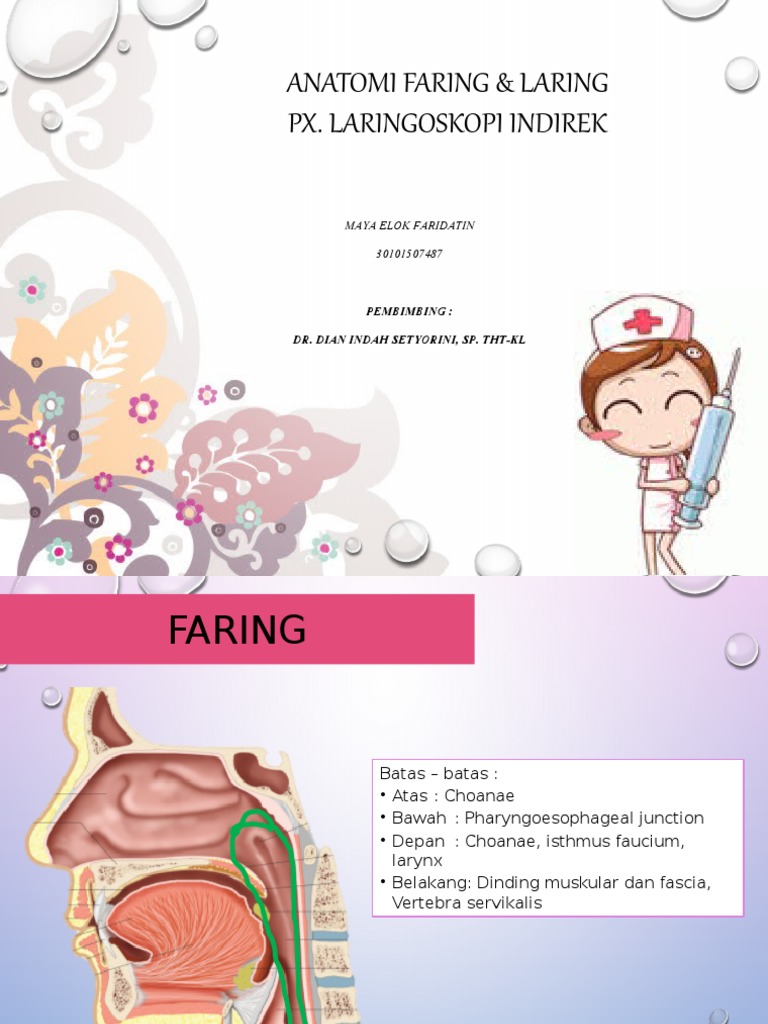 Anatomi Faring Laring | PDF