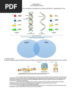 DNA Mutations Lab Answer Key | PDF | Genetic Code | Point Mutation