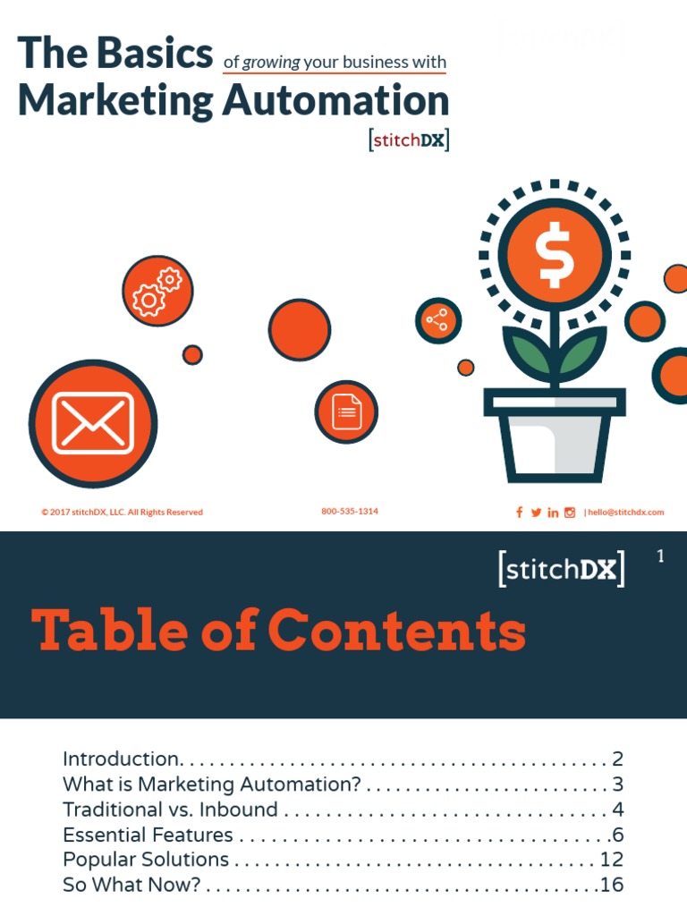 The Basics Of Marketing Automation Pdf Salesforce Com Websites