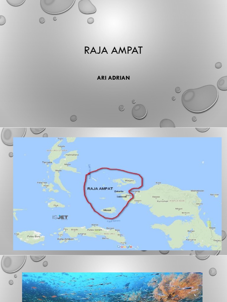 Raja Ampat | PDF