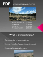 A Presentation On Deforestation | PDF | Deforestation | Logging