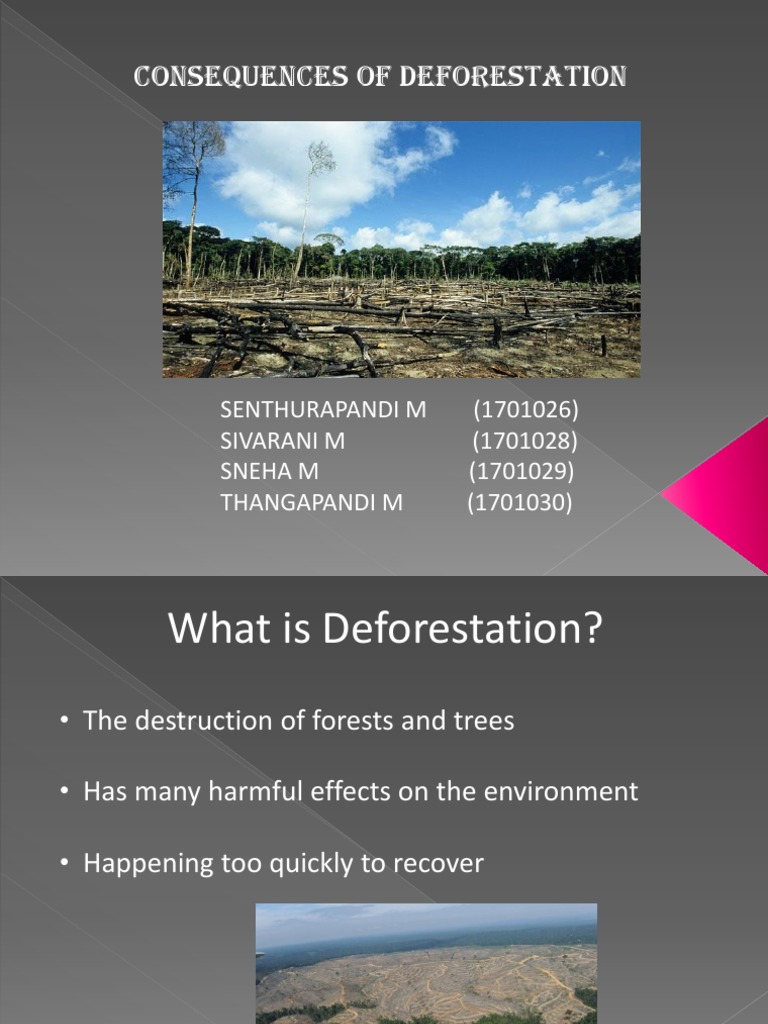 Deforestation | PDF | Deforestation | Rainforest