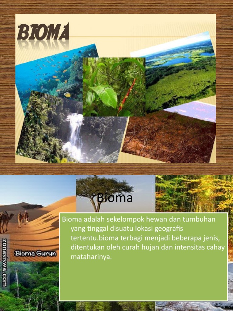 Jenis dan Ciri Bioma Dunia | PDF | Griya & Taman