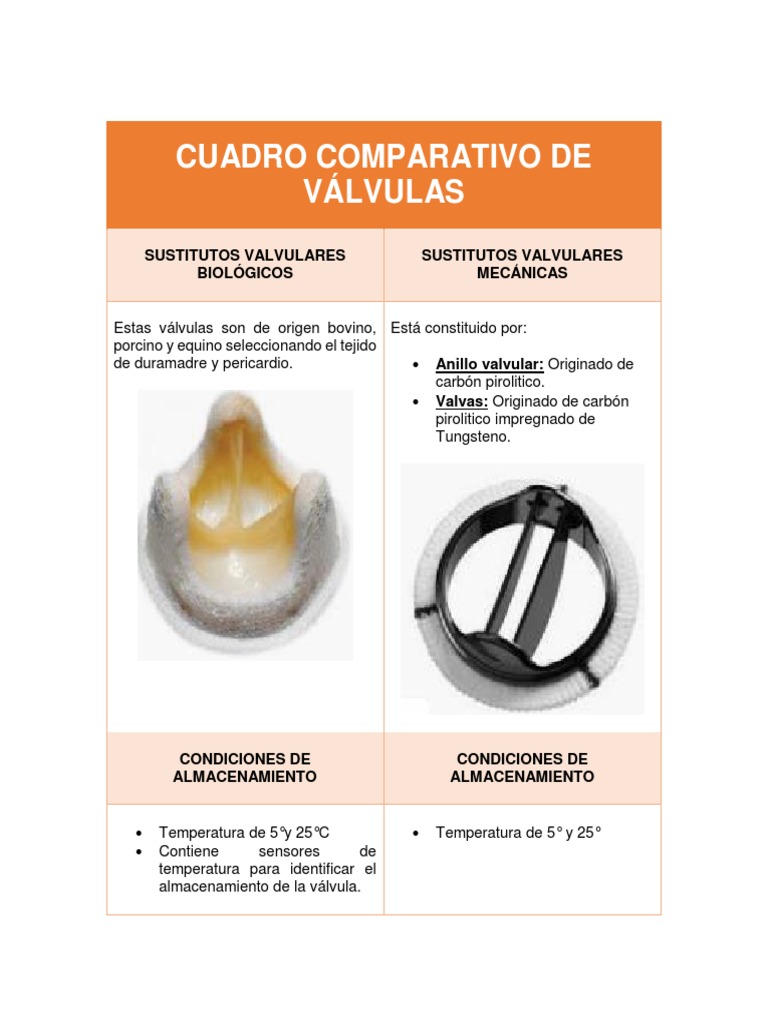 Comparativa de Válvulas Cardíacas | PDF | Válvula del corazón | Corazón