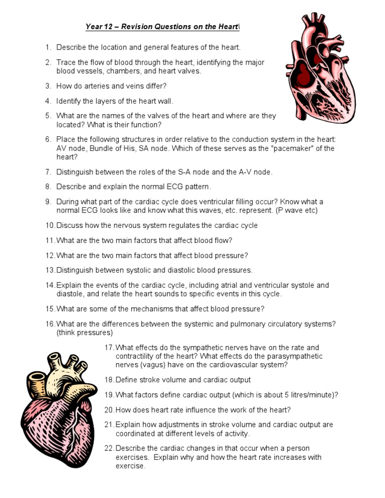 Year 12 Heart Revision Questions | PDF | Wellness | Science & Mathematics