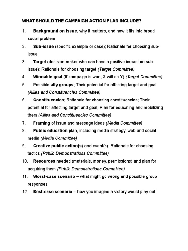 What's in A Campaign Action Plan | PDF
