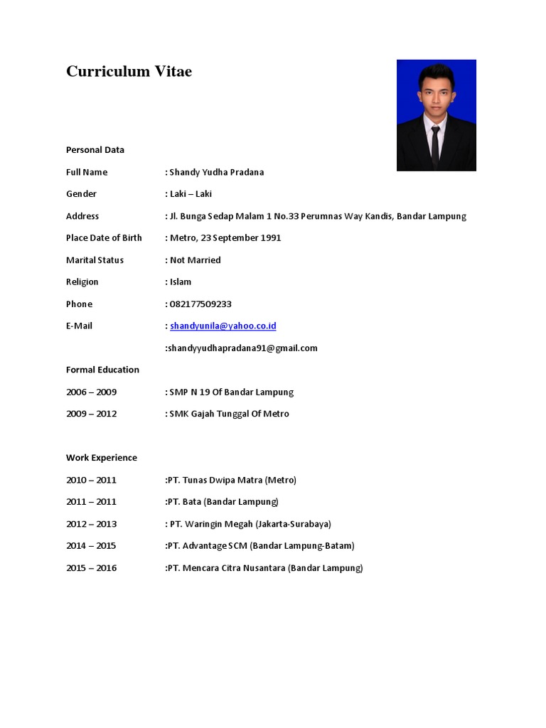 Shandy Yudha Pradana's CV | PDF