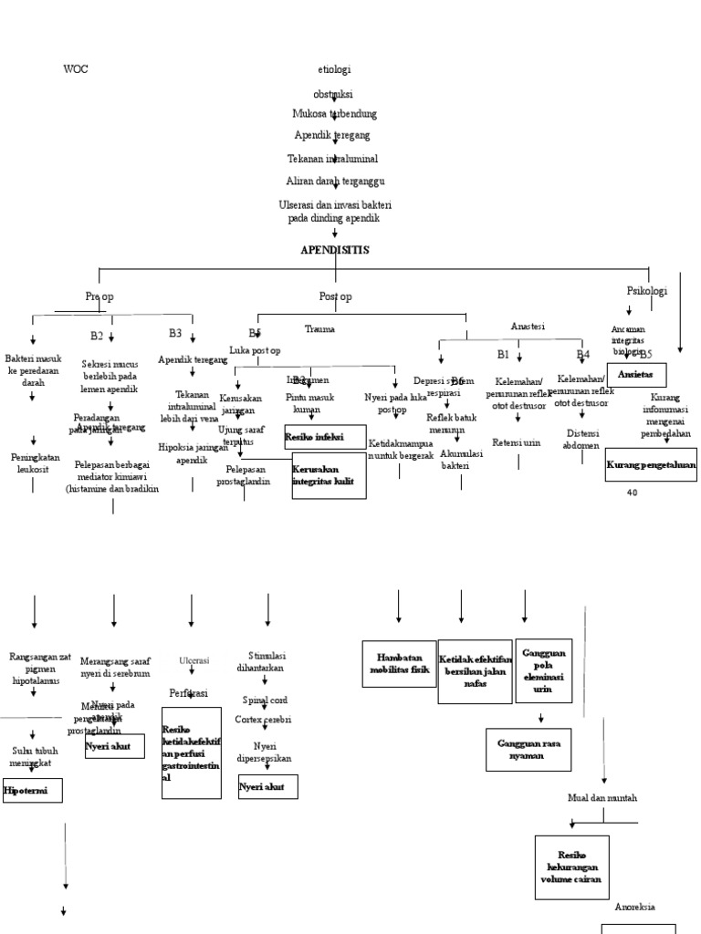 WOC Etiologi Obstruksi Mukosa Terbendung: Apendisitis | PDF
