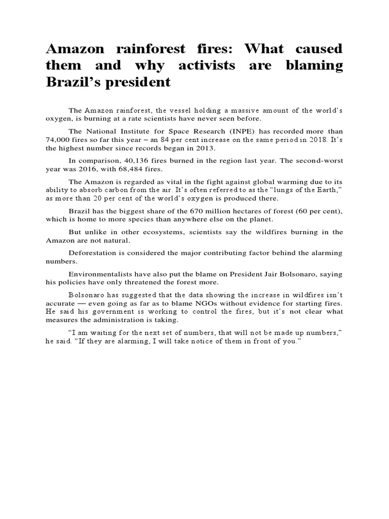 Amazon Rainforest Fires | PDF | Amazon Rainforest | Wildfire