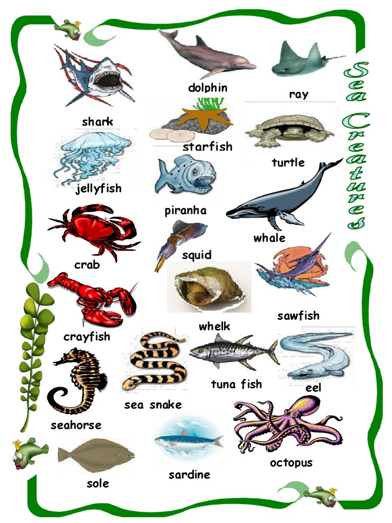 Marine Life: Fish and Sea Creatures | PDF
