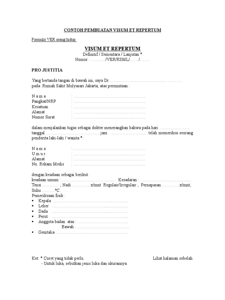 Contoh Form Visum (Dodi) | PDF
