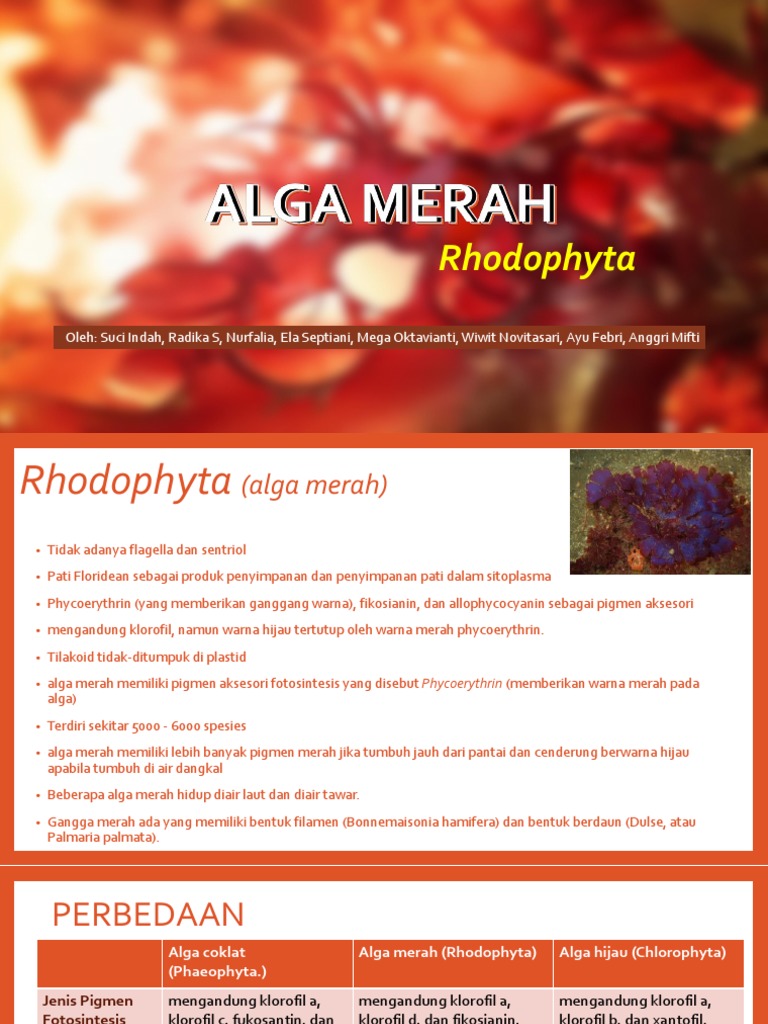 Alga Merah: Ciri, Klasifikasi, dan Manfaat | PDF | Sains & Matematika