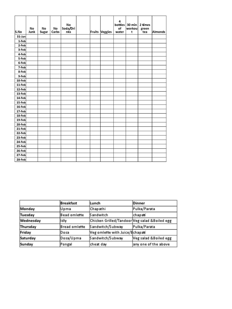 Daily Routune Sheets | PDF