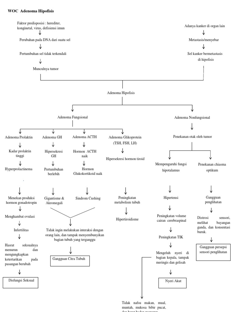 Woc Adenoma Hipofisis | PDF