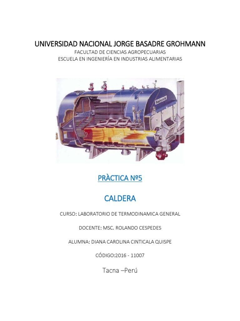 XFGHJK | PDF | Caldera | Corrosión