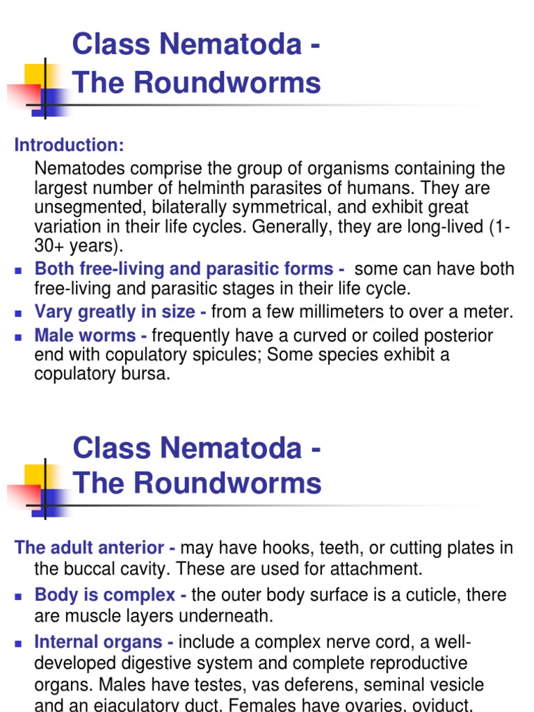 Class Nematoda - The Roundworms | PDF | Nematode | Parasitology