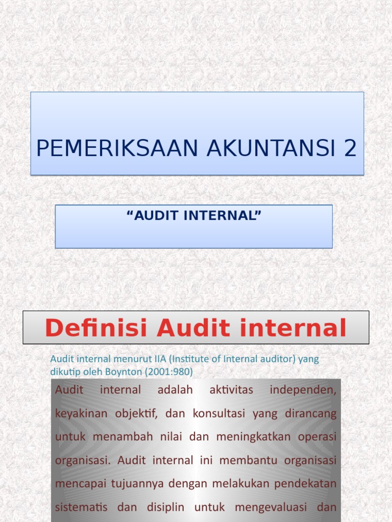 PROGRAM AUDIT INTERNAL | PDF