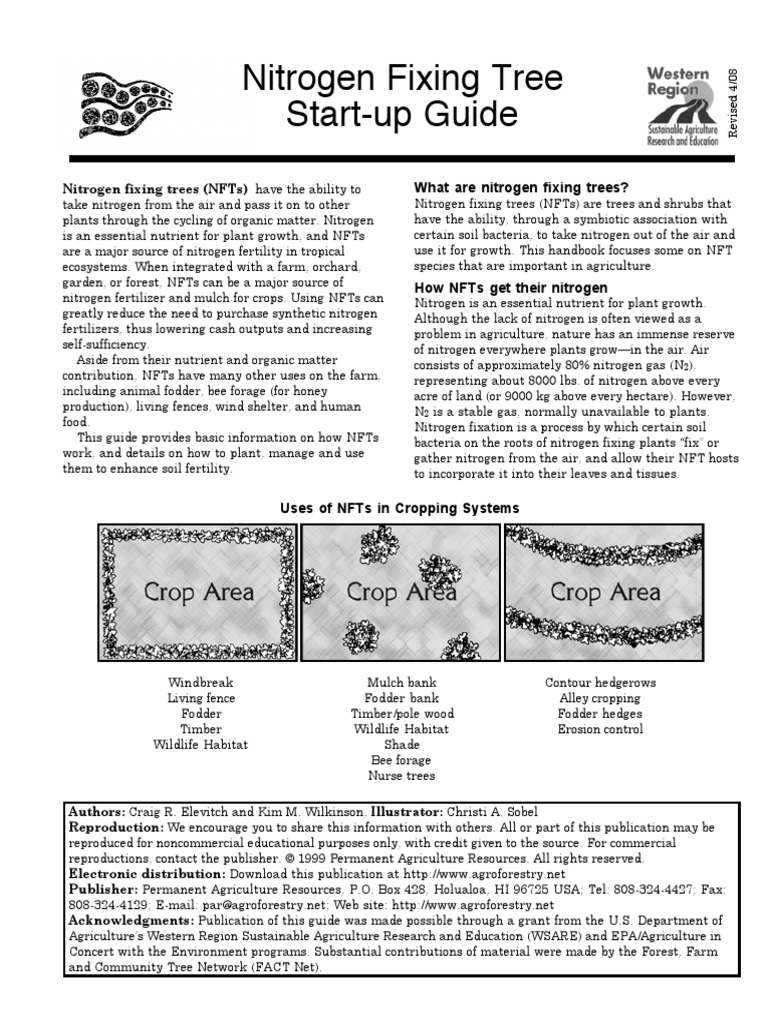 Nitrogen Fixing Trees Guide PDF | PDF | Soil Fertility | Soil