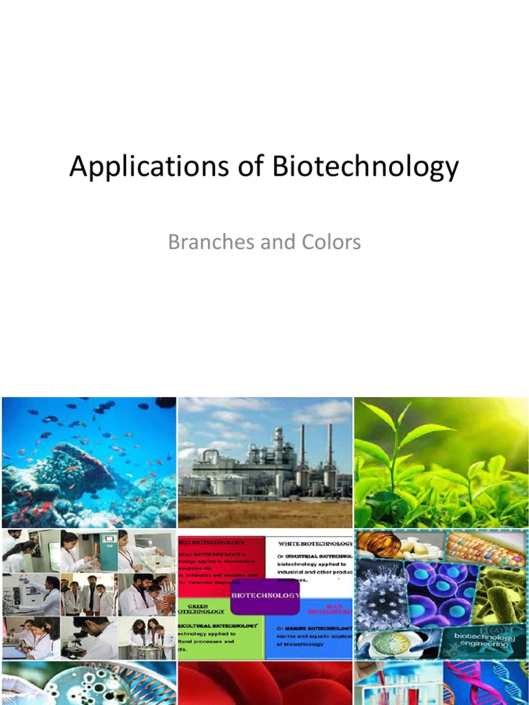 Branches and Applications of Biotechnology | PDF | Biotechnology ...