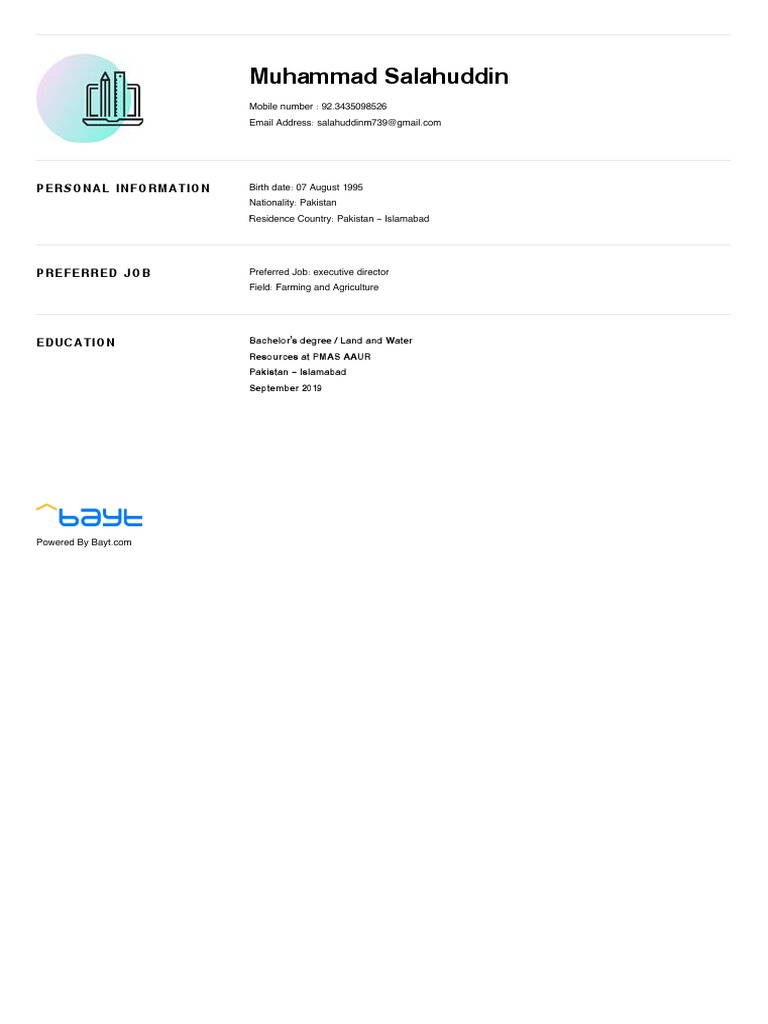 CV - Muhammad Salahuddin | PDF