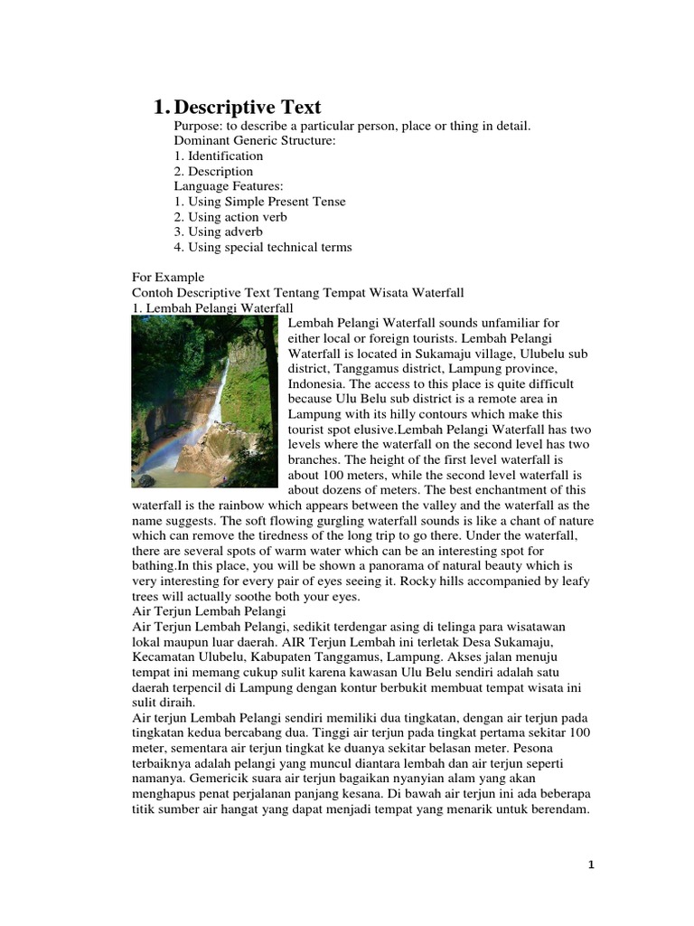 Descriptive Text | PDF