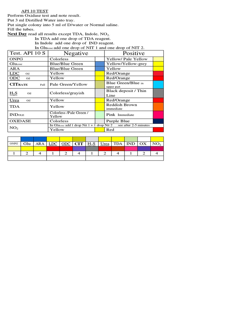 Negative Positive: Test. API 10 S | PDF
