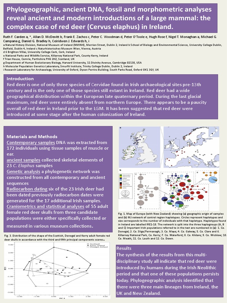 Bio Systems Poster | PDF | Ireland | Haplotype