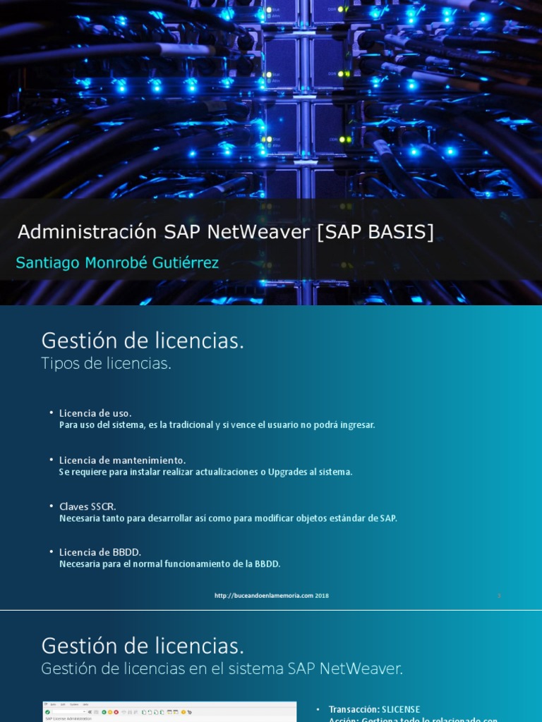 Gestion de Licencias Sap Basis | PDF | Sap Se | Archivo de computadora