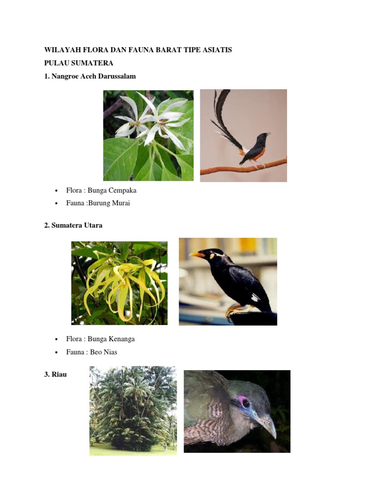 Wilayah Flora Dan Fauna Barat Tipe Asiatis | PDF