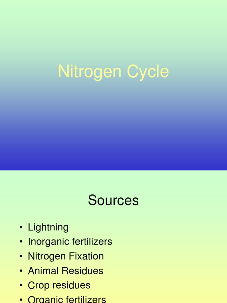 N Cycle | PDF | Nitrogen | Soil