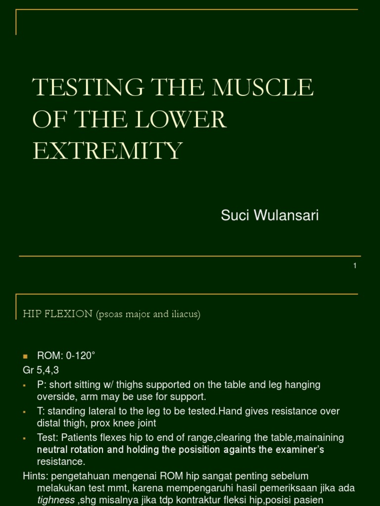 Testing The Muscle of The Lower Extremity | PDF | Human Leg ...