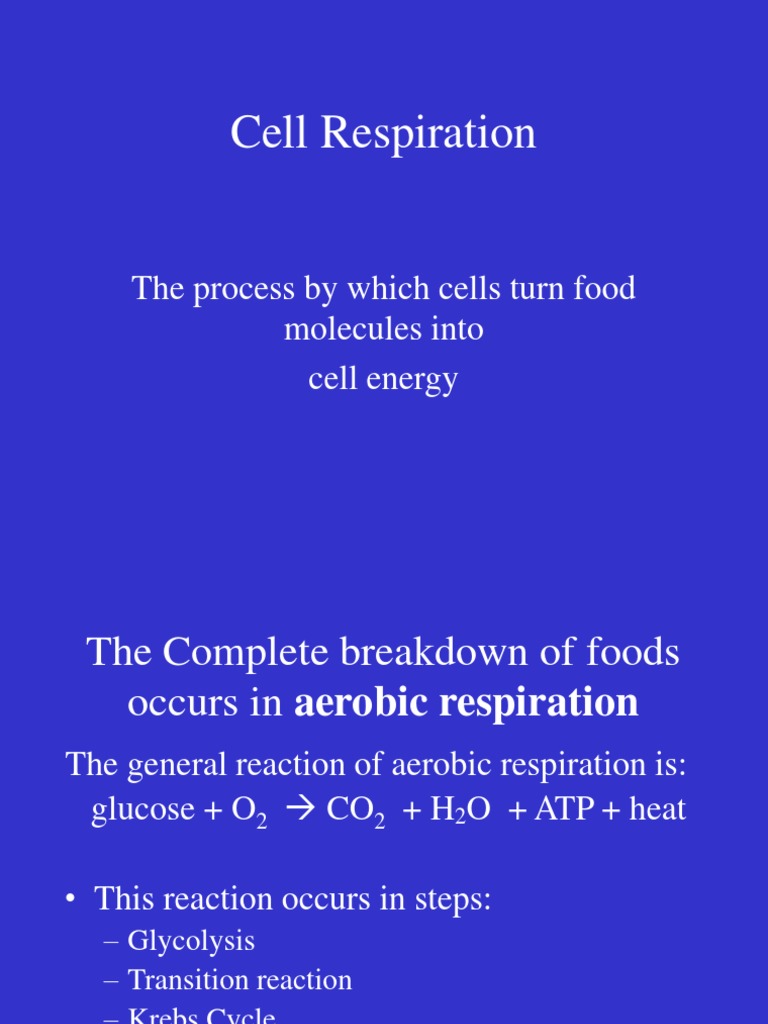 Cell Respiration: The Process by Which Cells Turn Food Molecules Into ...