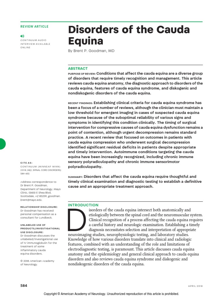 Disorders of The Cauda Equina | PDF | Back Pain | Urinary Incontinence