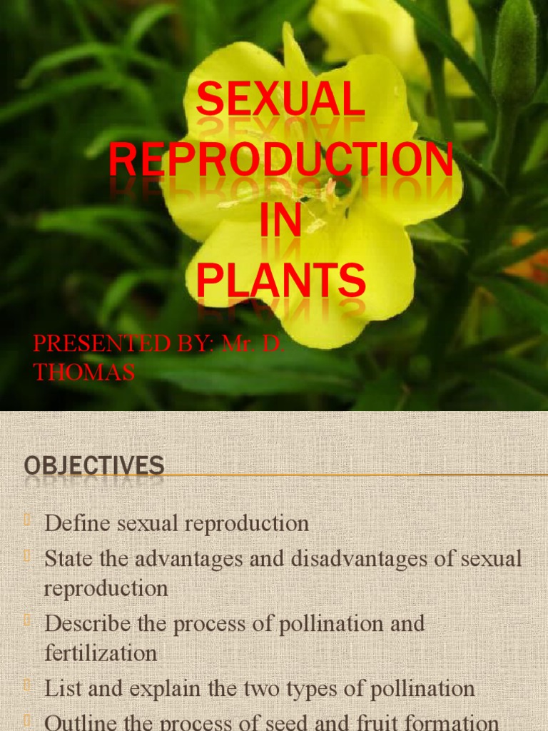 Sexual Reproduction in Plants | PDF