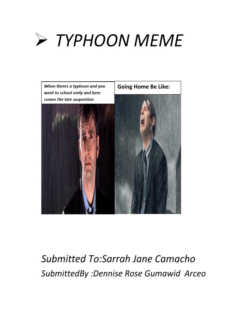 Typhoon Meme | PDF
