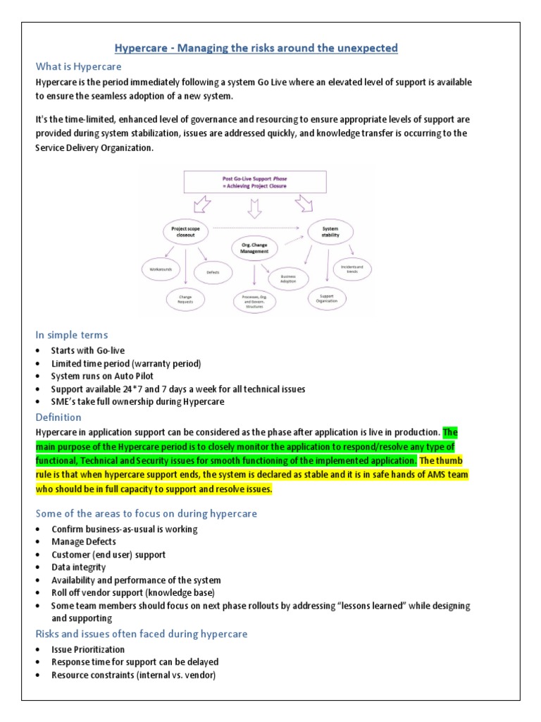 Hypercare Approach v1 | Software Bug | Business Process