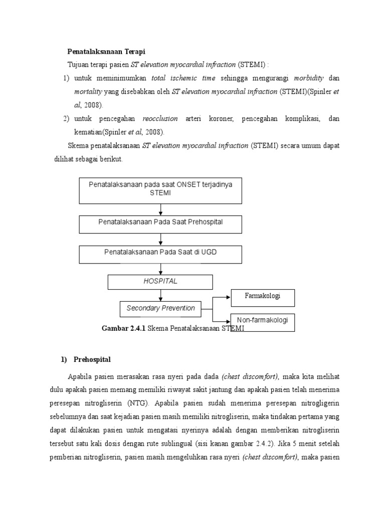 Penatalaksanaan Terapi STEMI | PDF