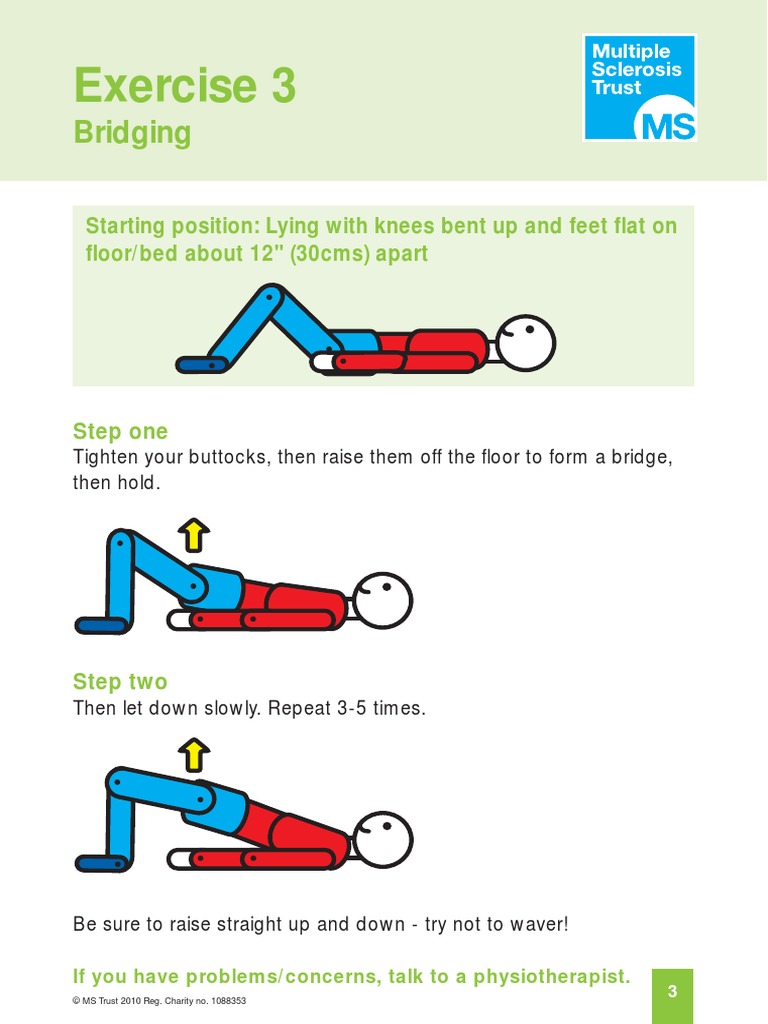 Exercises Strength | PDF | Chair | Abdomen