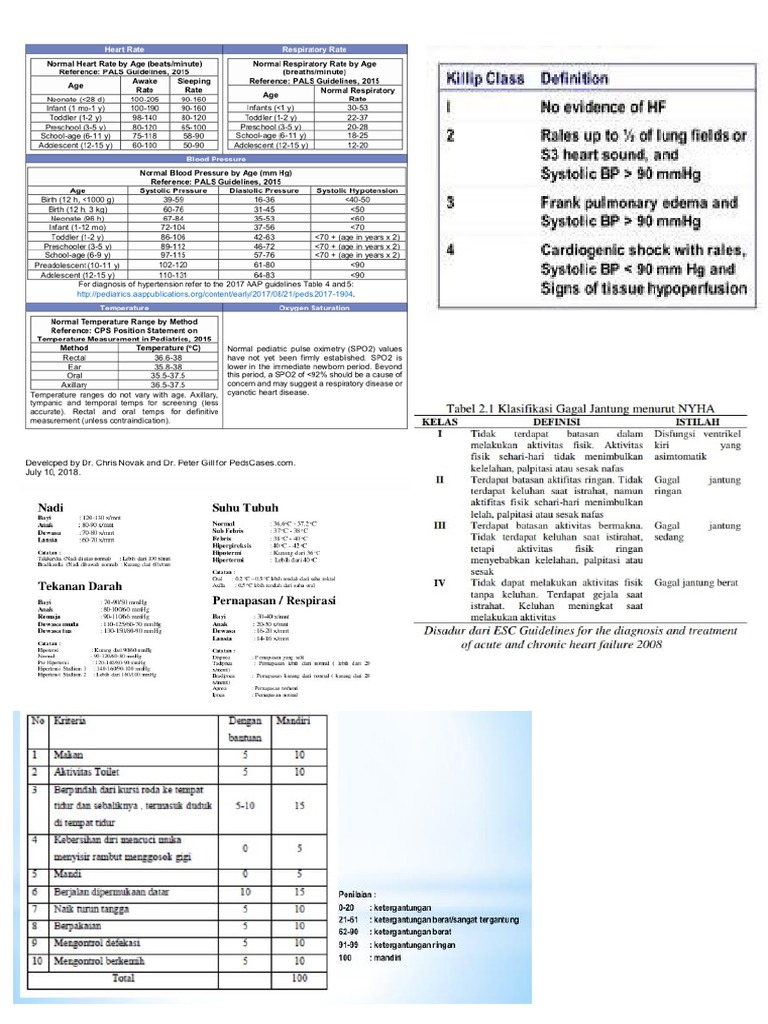 Parameter Vital Sign, Killips, Nyha, Skala Borg, Dan Indeks Barthel | PDF
