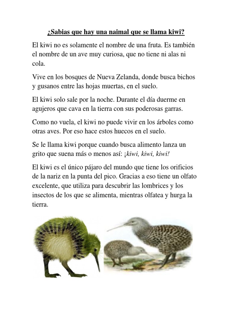 Guia Lenguaje El Kiwi | PDF | Aves | Paravianos