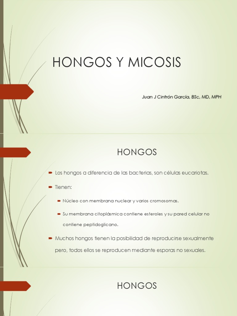 Hongos y Micosis | PDF | Candidiasis | Hongo